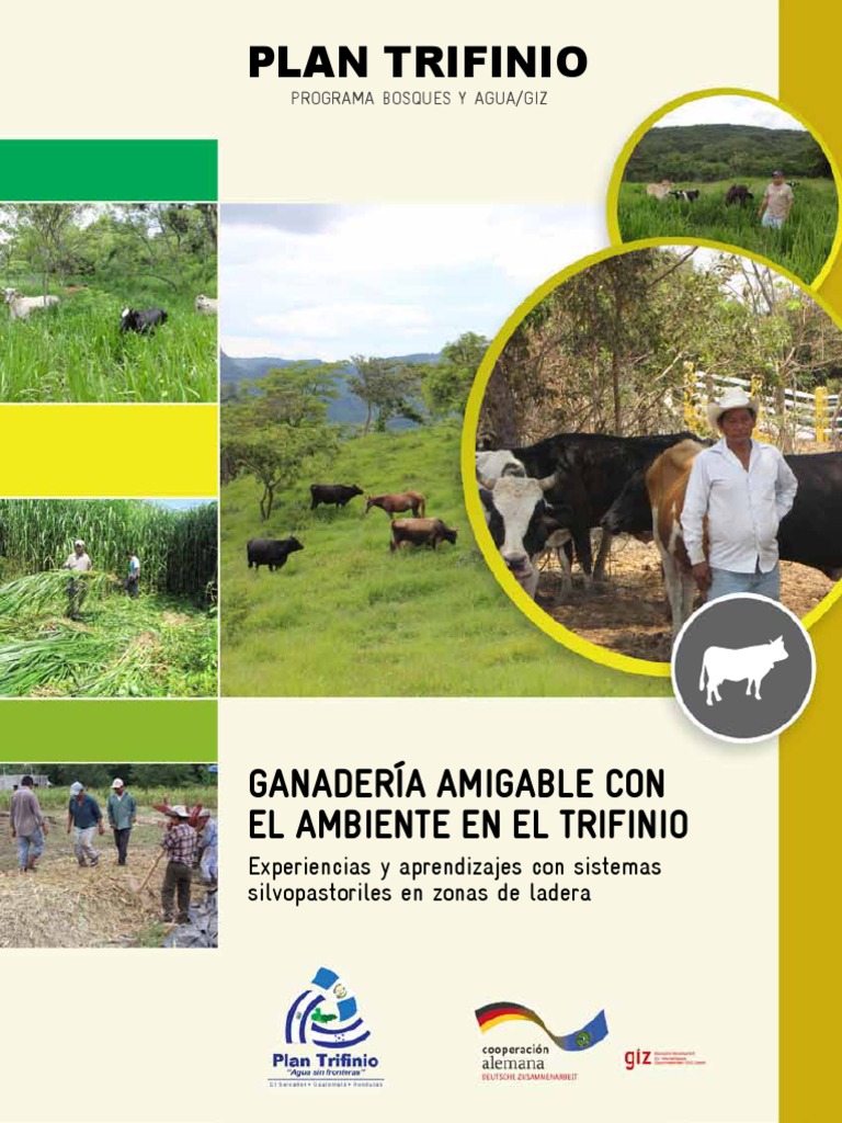 Sistemas Silvopastoril en La Región Trifinio | PDF | El Salvador | Los ...