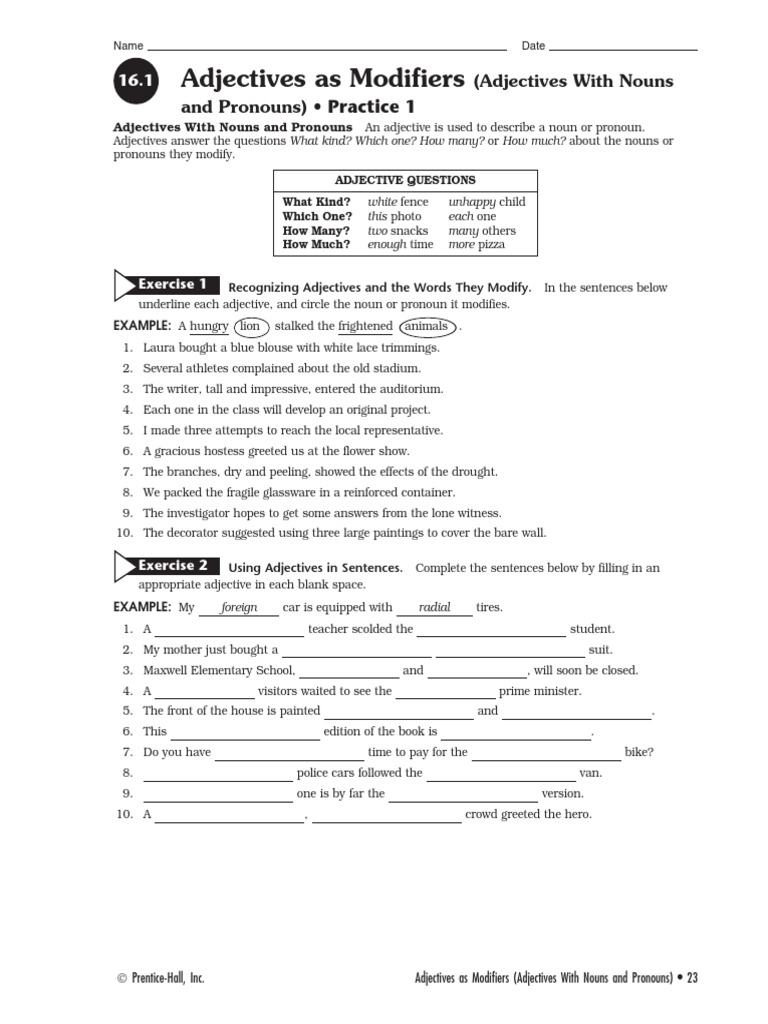 Adjective and Noun Modifier Exercises | PDF | Foreign Language Studies