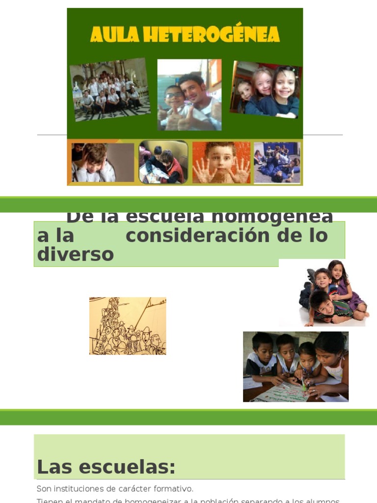 Aulas Heterogéneas y Equidad | PDF | Aprendizaje | Cognición