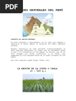 Informe Region NOA | PDF | Entorno natural | Ciencias de la Tierra