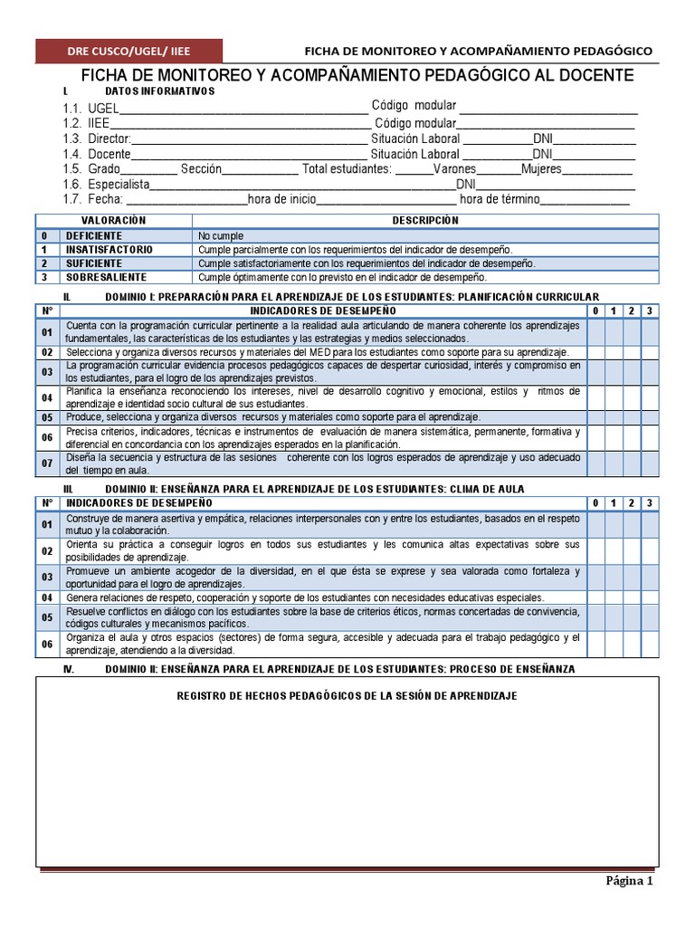 Ficha de Monitoreo Docente | PDF | Aprendizaje | Evaluación