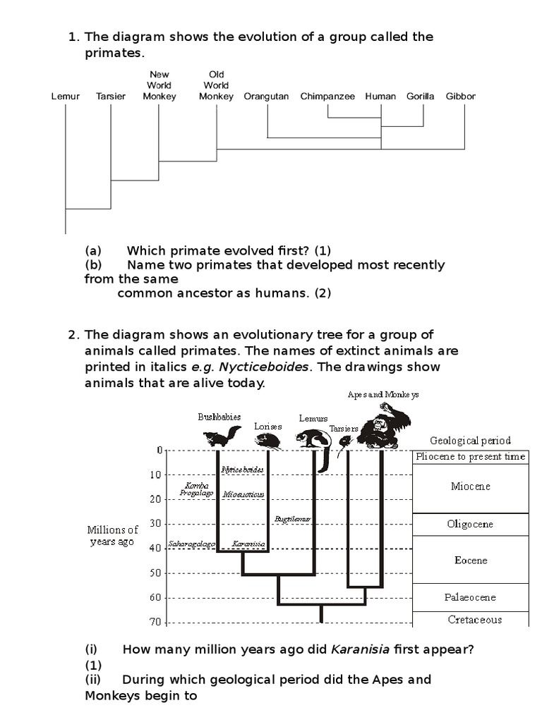 Questions About Evolutionary Trees | PDF | Social Science | History