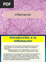 Etapas de La Inflamacion PDF | PDF | Inflamación | Inmunología