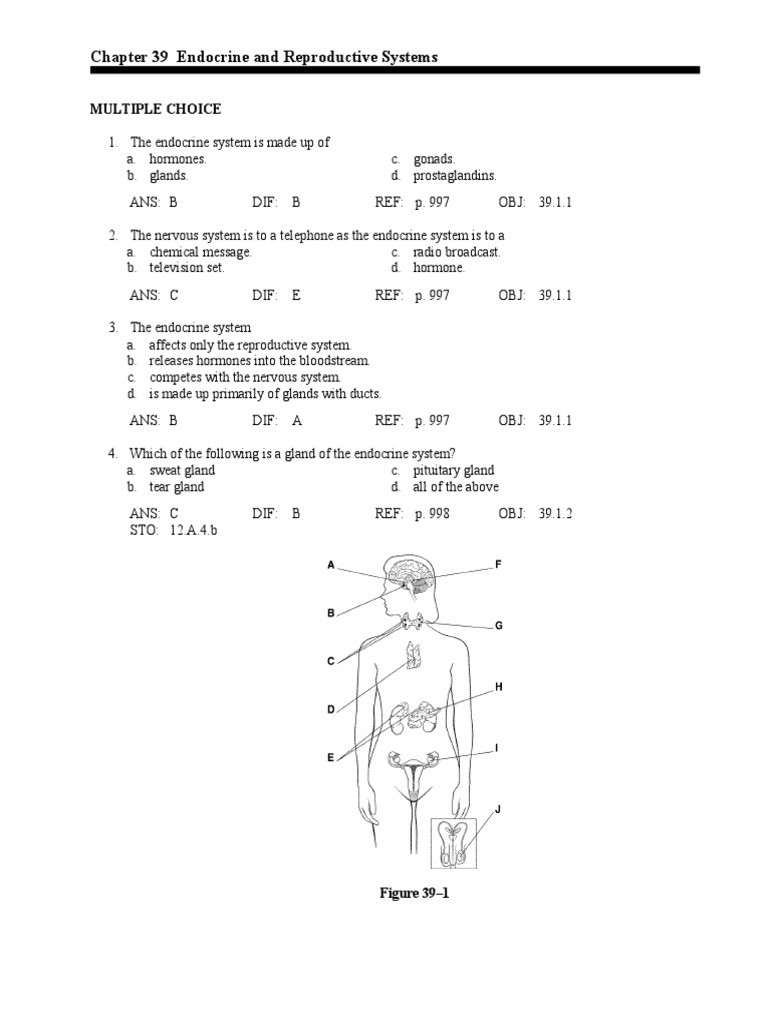 Endocrine and Reproductive Systems Overview | PDF | Menstrual Cycle ...