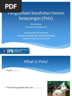 Normal Rectal Temperature Ranges | PDF