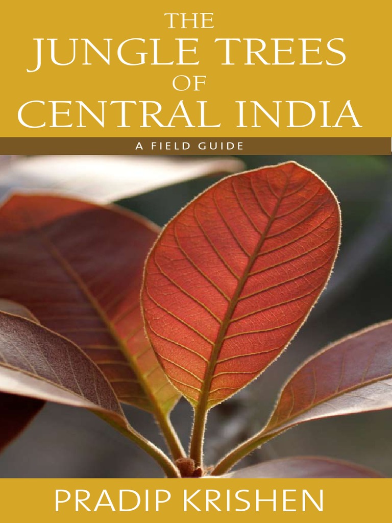 Jungle | PDF | Trees | Flowers