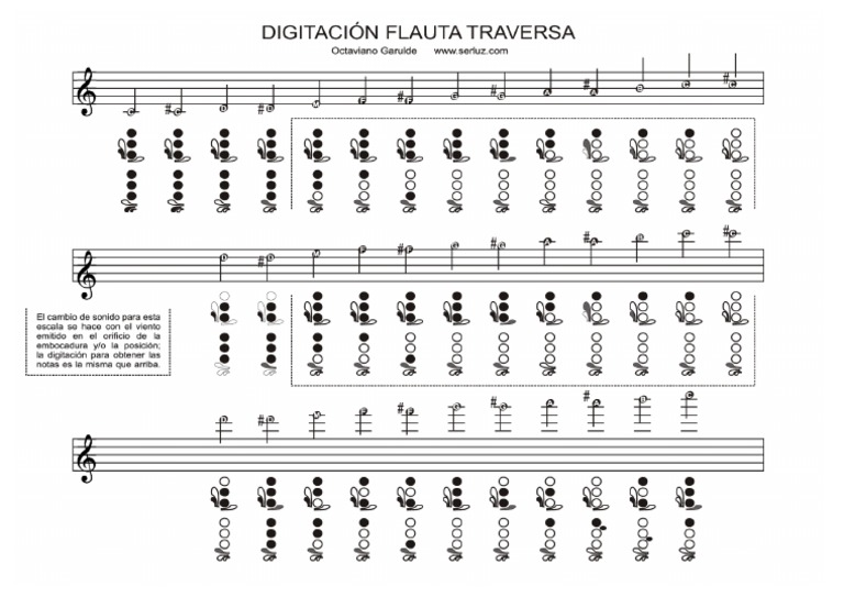 Digitación Flauta Traversa | PDF | Instrumentos de viento de madera ...
