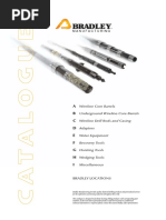 BSP - BPE Guidelines | PDF | Periodontology | Health Sciences