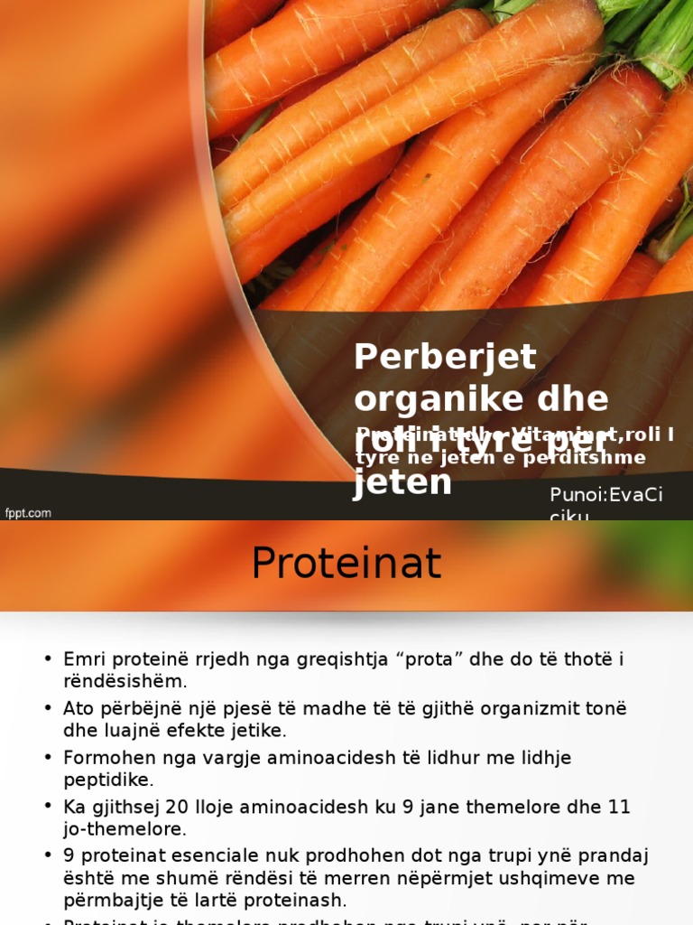 SHEQERNAT | PDF