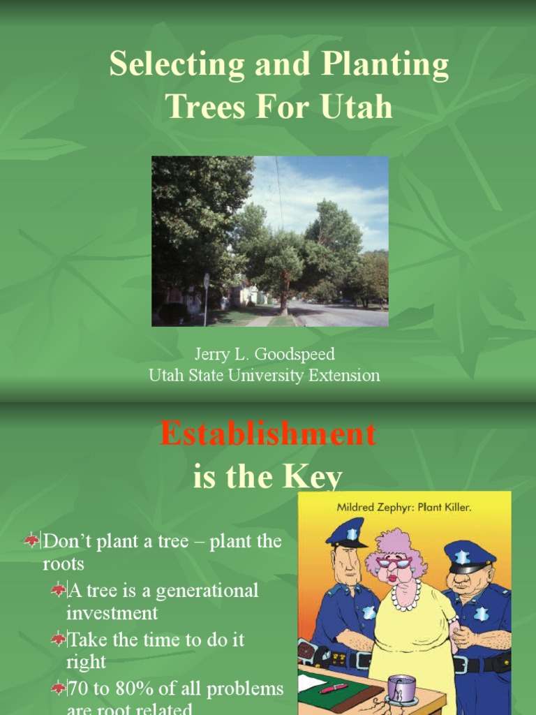 Selecting and Planting Trees For Utah: Jerry L. Goodspeed Utah State ...