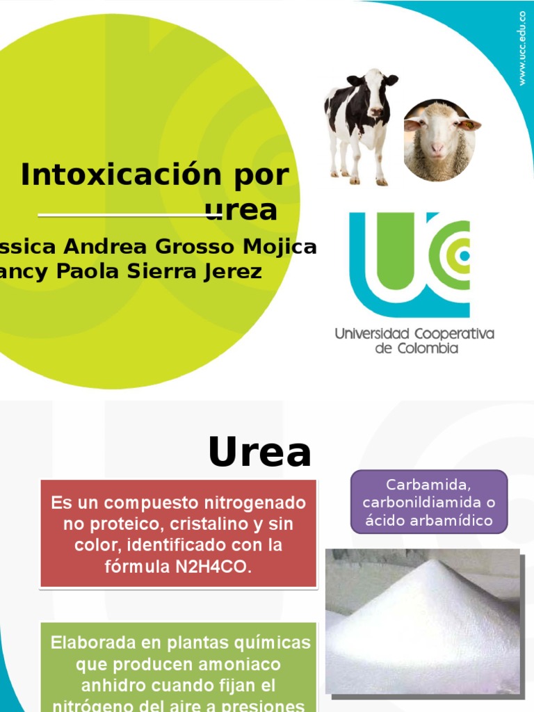 Intoxicacion Por Urea | Amoníaco | Urea | Prueba gratuita de 30 días ...