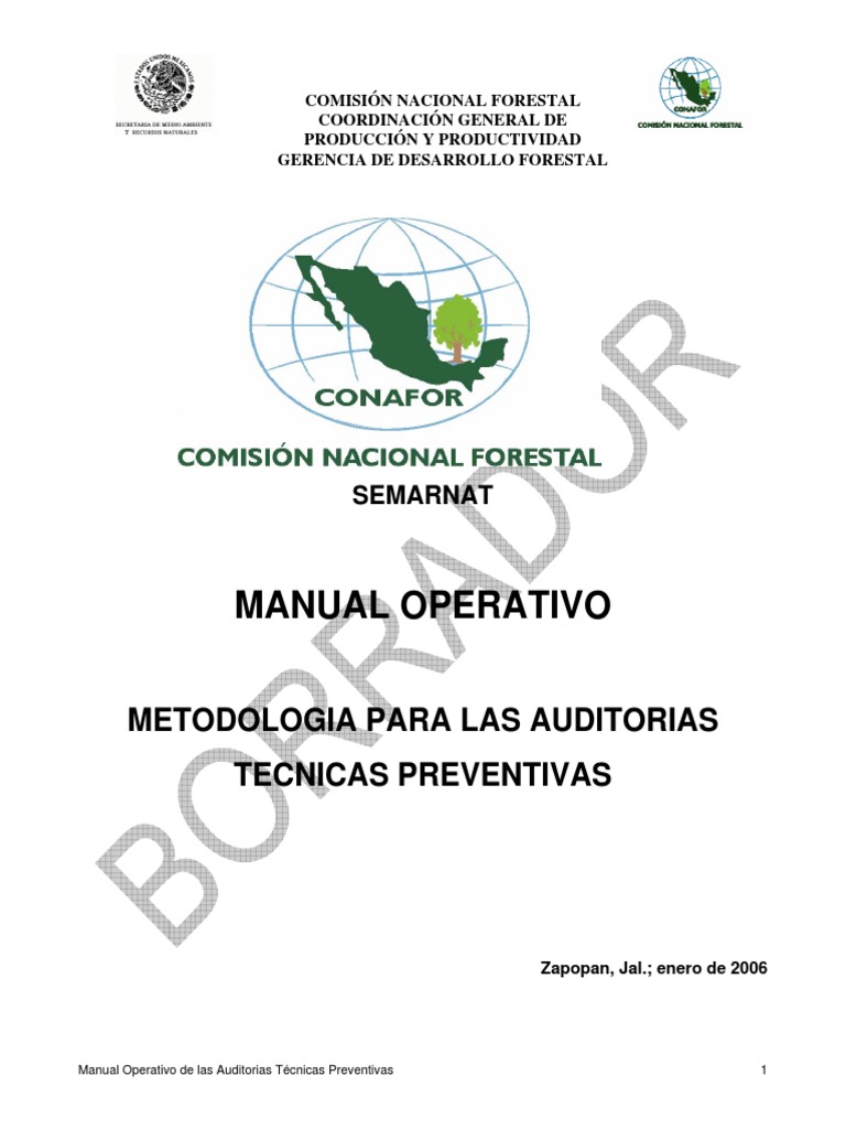 Metodologia para Las Auditorias Tecnicas Preventivas | PDF | Los ...