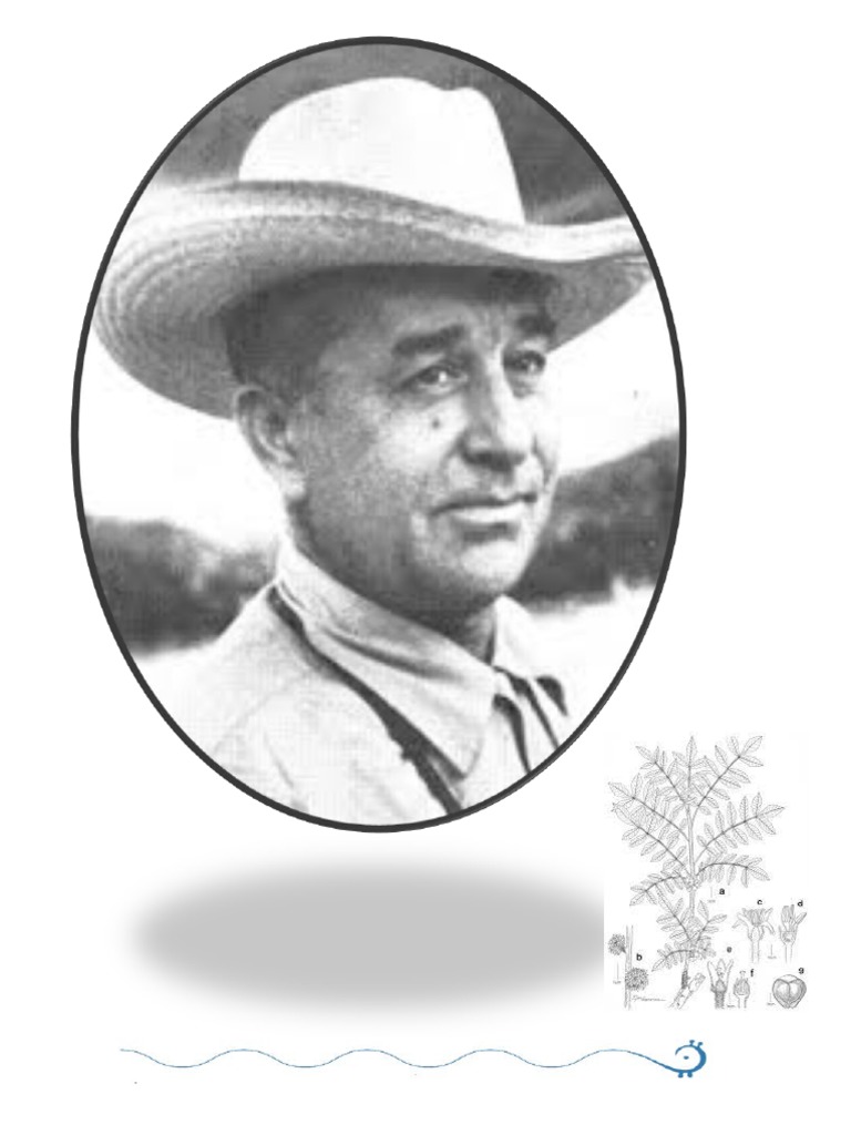 Jerzy Rzedowski Rotter | PDF | Botánica | México