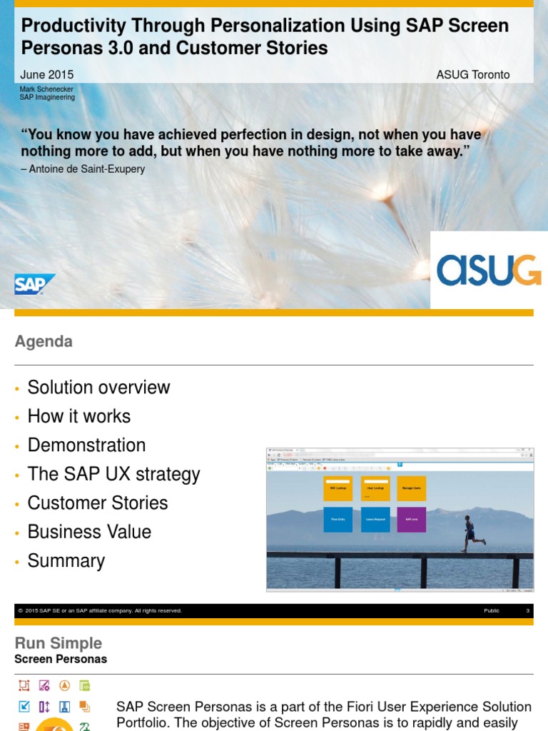 SAP Screen Personas | PDF