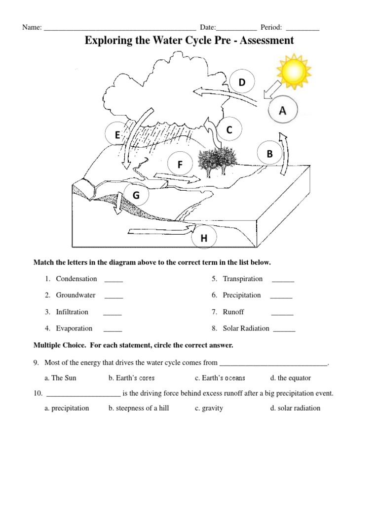 Exploring The Water Cycle Pre-Post Assessment | PDF