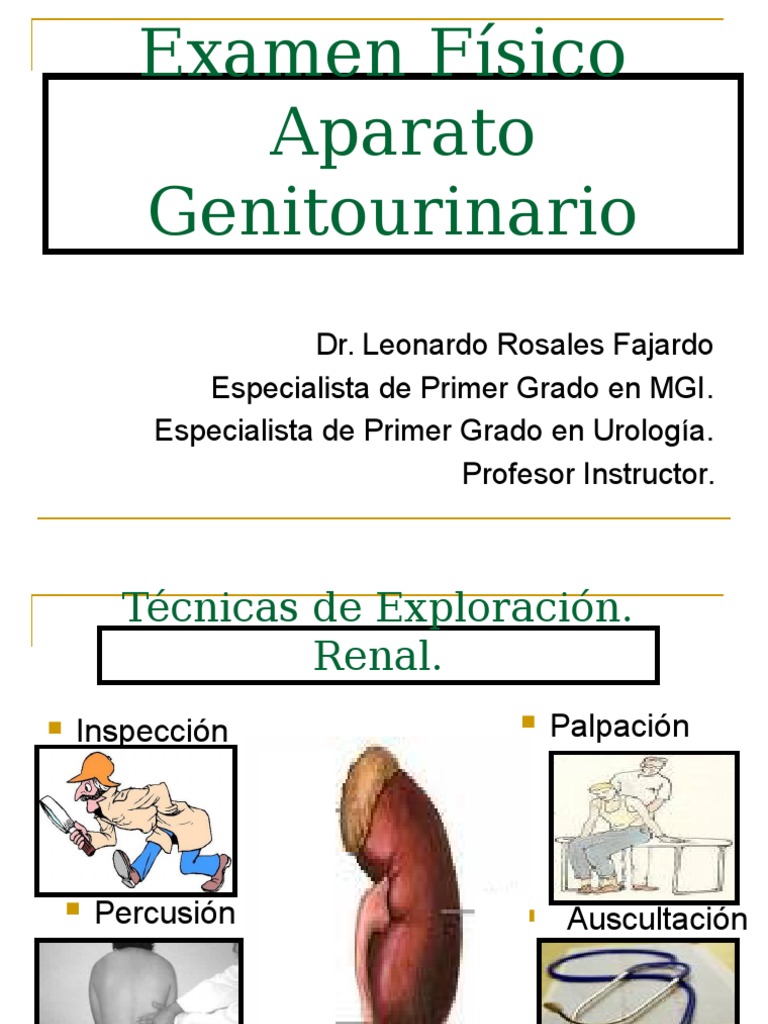 Examen Fisico Del Sistema Genitourinario | Testículo | Mano