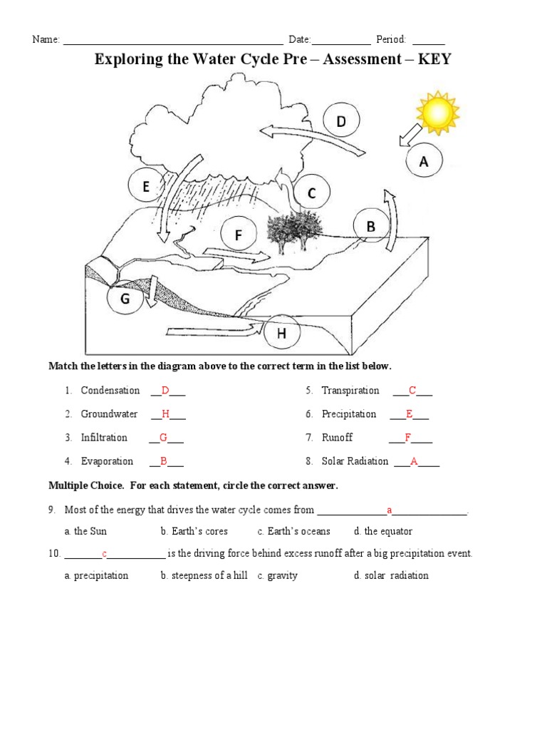 Exploring The Water Cycle Pre-Post Assessment Key | PDF | Water Cycle ...