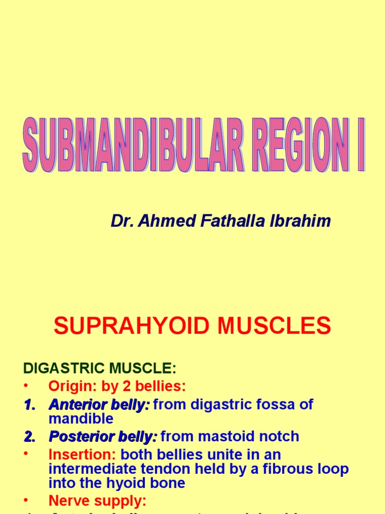 14-Submandibular Region I | PDF | Tongue | Human Head And Neck