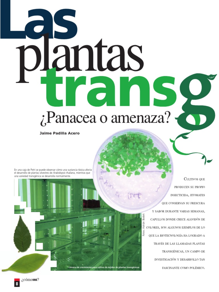 Las Plantas Transgenicas | Organismo genéticamente modificado | Gene