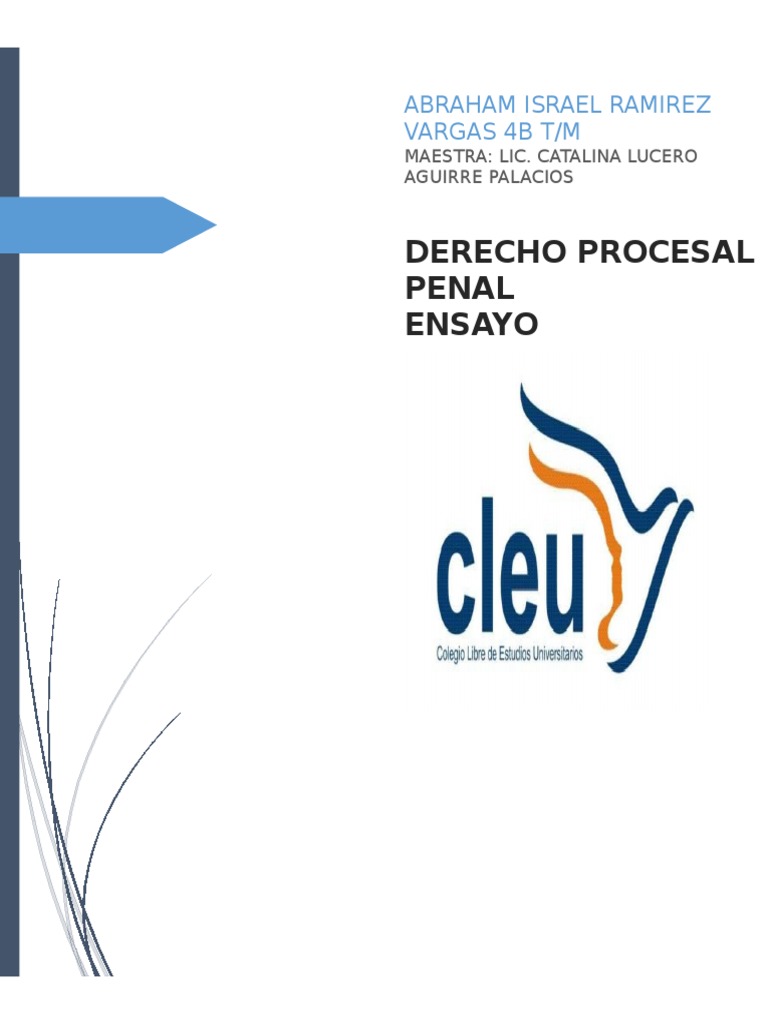 Funcion Del Perito En El Nuevo Sistema Penal Pdf Testigo Experto