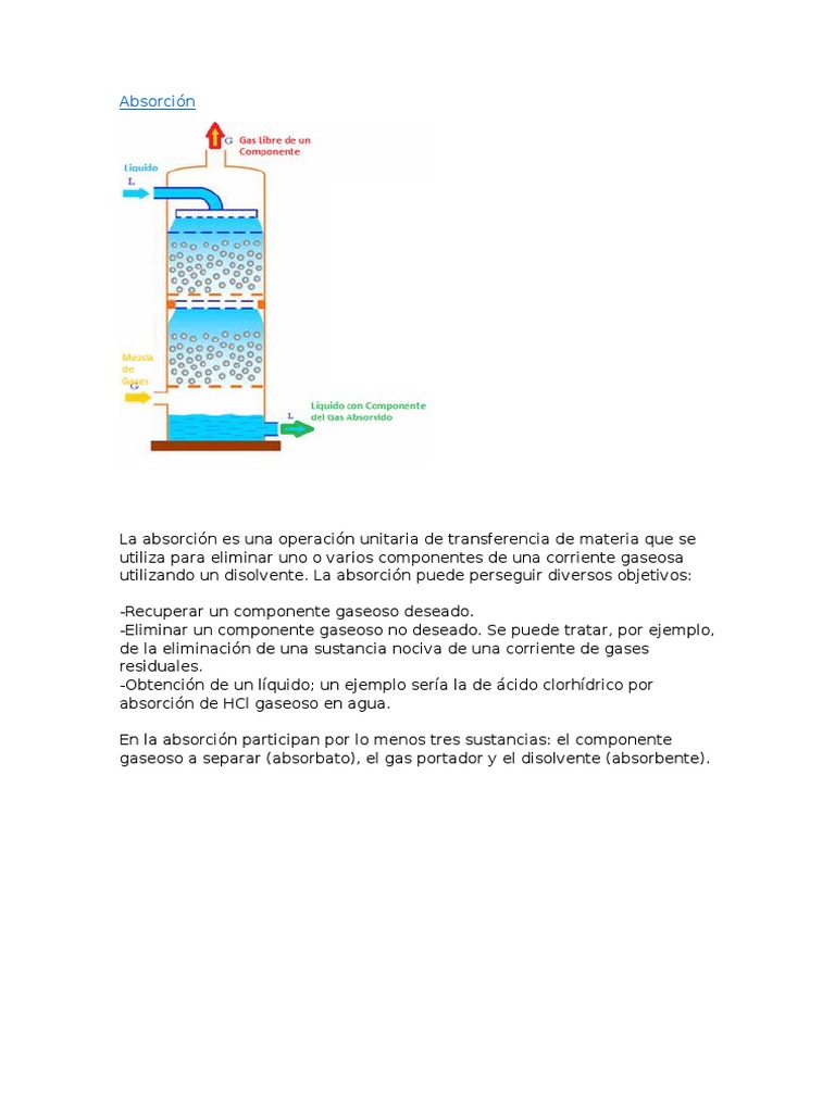 Proceso de Absorción de Gases | PDF | Absorción (Química) | Solvente