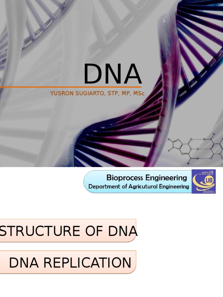 The Blueprint of Life: An In-Depth Look at the Structure and ...
