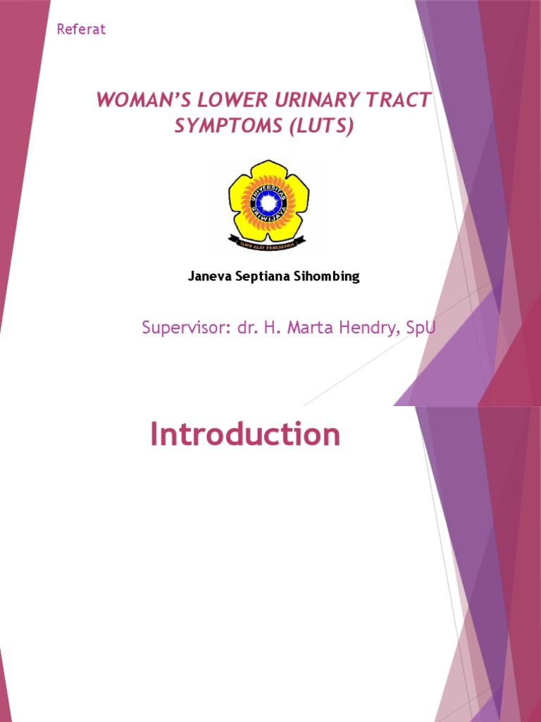 Luts | Download Free PDF | Urination | Urinary Bladder