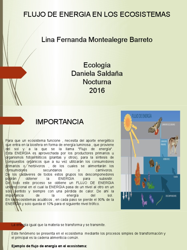 Flujo de Energía en Ecosistemas | PDF | Ecología | Ecosistema