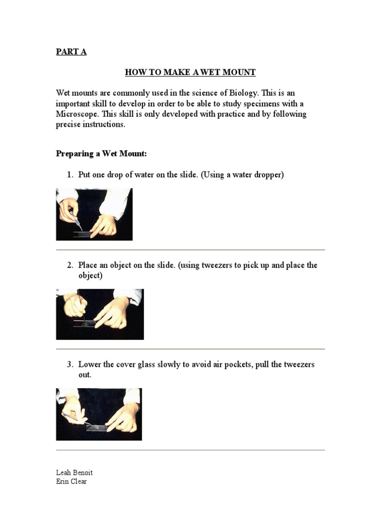 Wet Mount Preparation for Microscopy | PDF | Forensic Science | Microscope