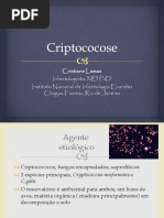 Como É Realizada A Pesquisa de Esquizocitos e Como... | PDF | Doenças e ...