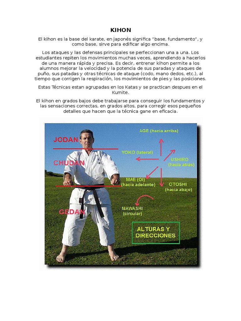 KIHON | PDF | Kárate | Kata