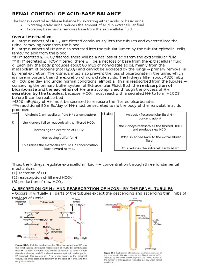 Renal Control of Acid Base Balance | Kidney | Physiology