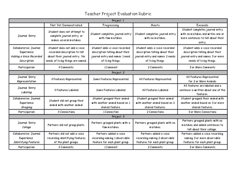 Teacher Project Evaluation Rubric | PDF