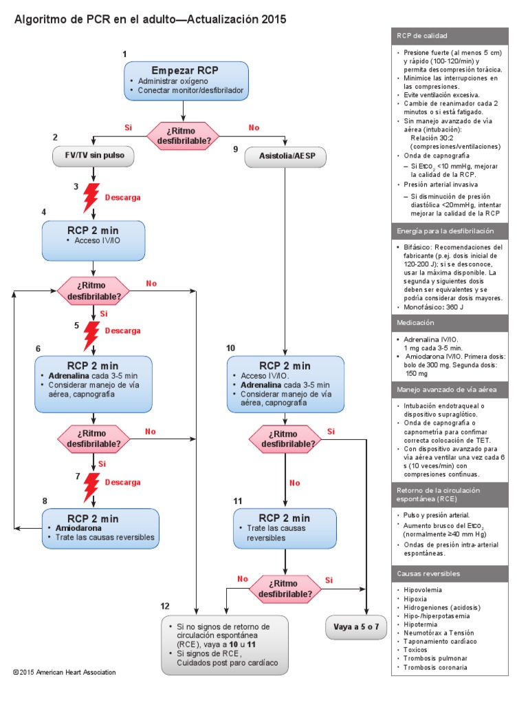 algoritmos aha 2015 español.pdf | Reanimación cardiopulmonar | Paro cardíaco