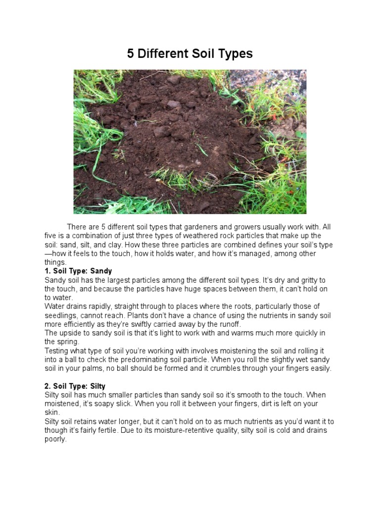 5 Types of Soil Explained | PDF | Silt | Loam