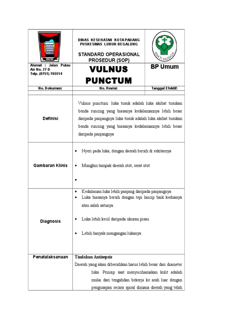Sop Vulnus Punctum | PDF