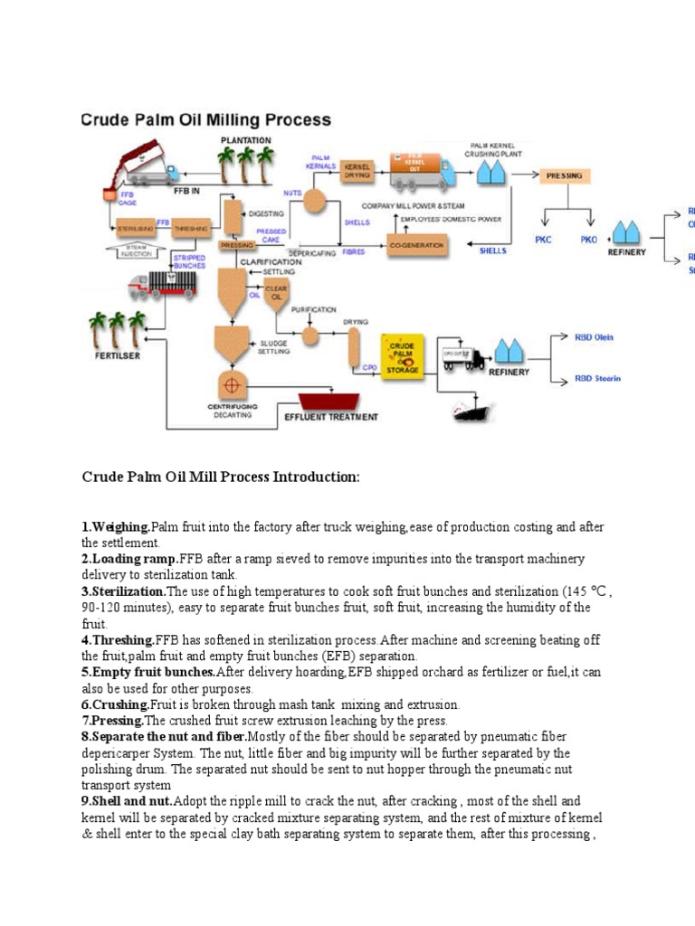 The Crude Palm Oil Mill Process: An Overview of the Key Steps Involved ...