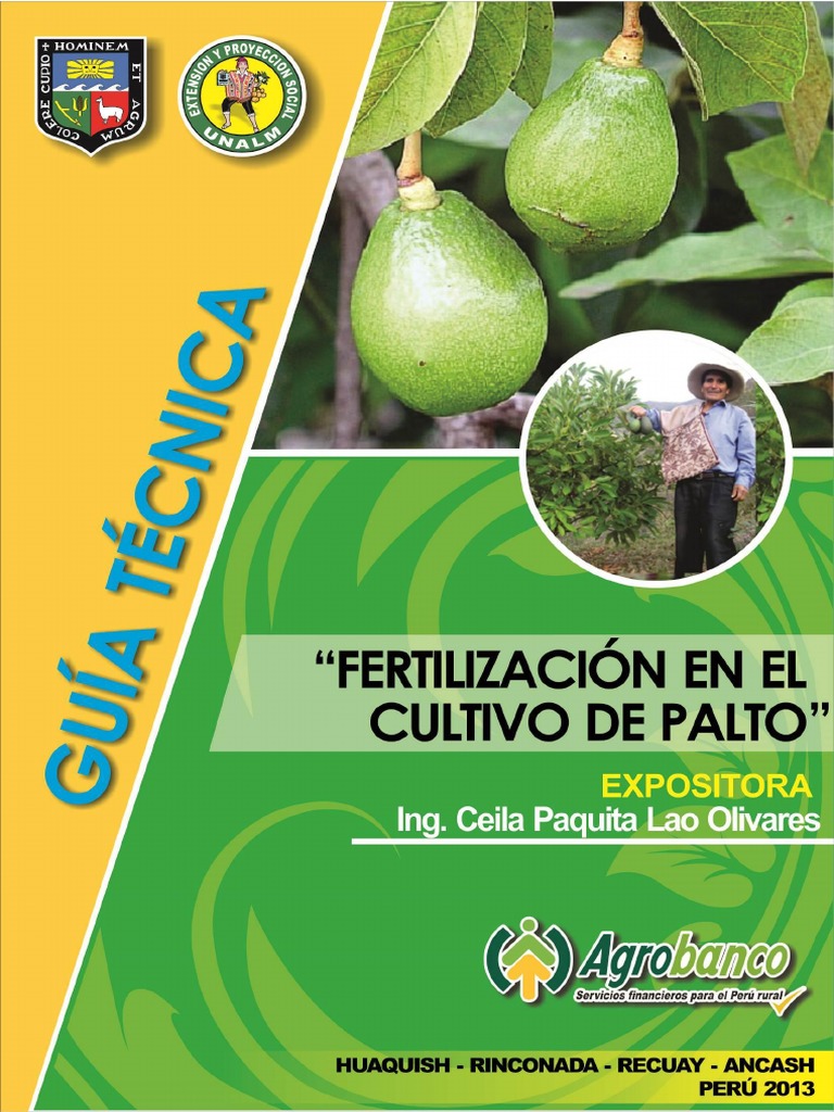 Guía Técnica. Fertilización en El Cultivo Del Palto | PDF | Fertilizante | Suelo