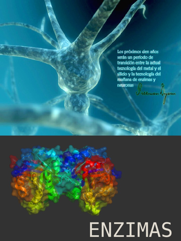 Generalidades de Las Enzimas | Enzima | Cofactor (Bioquímica)