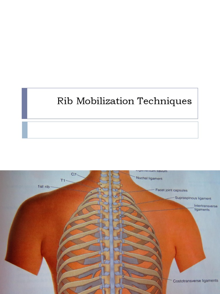 Rib Mobilization Techniques | PDF