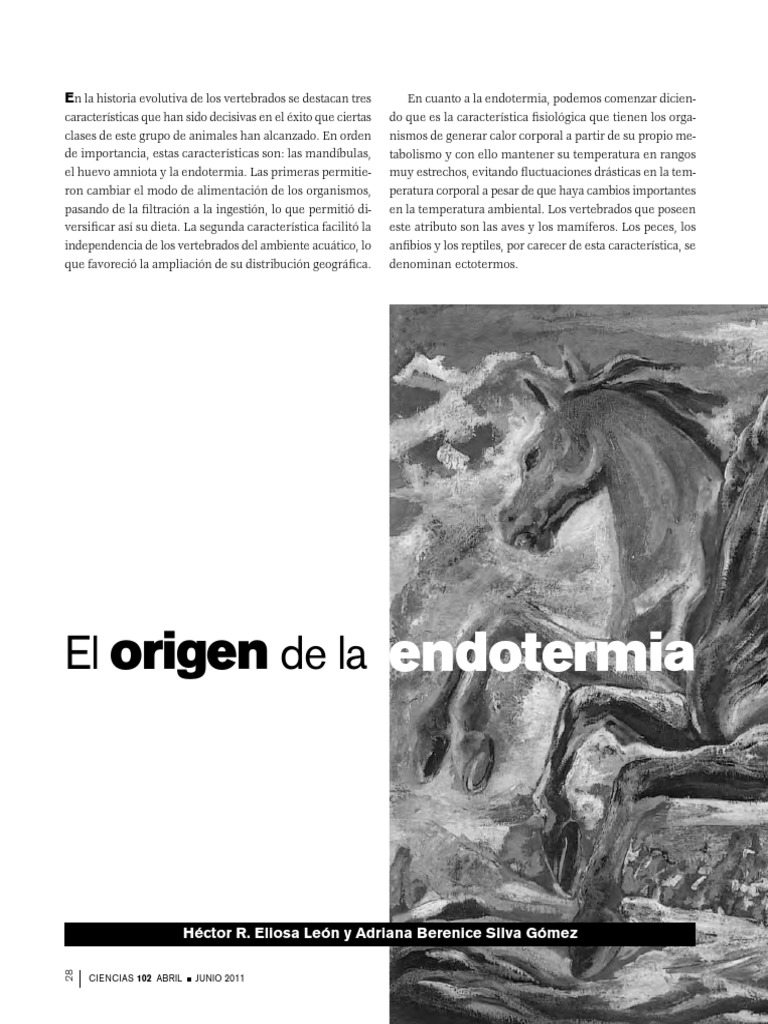 Endotermia Vertebrados | PDF | Termorregulación | Biología
