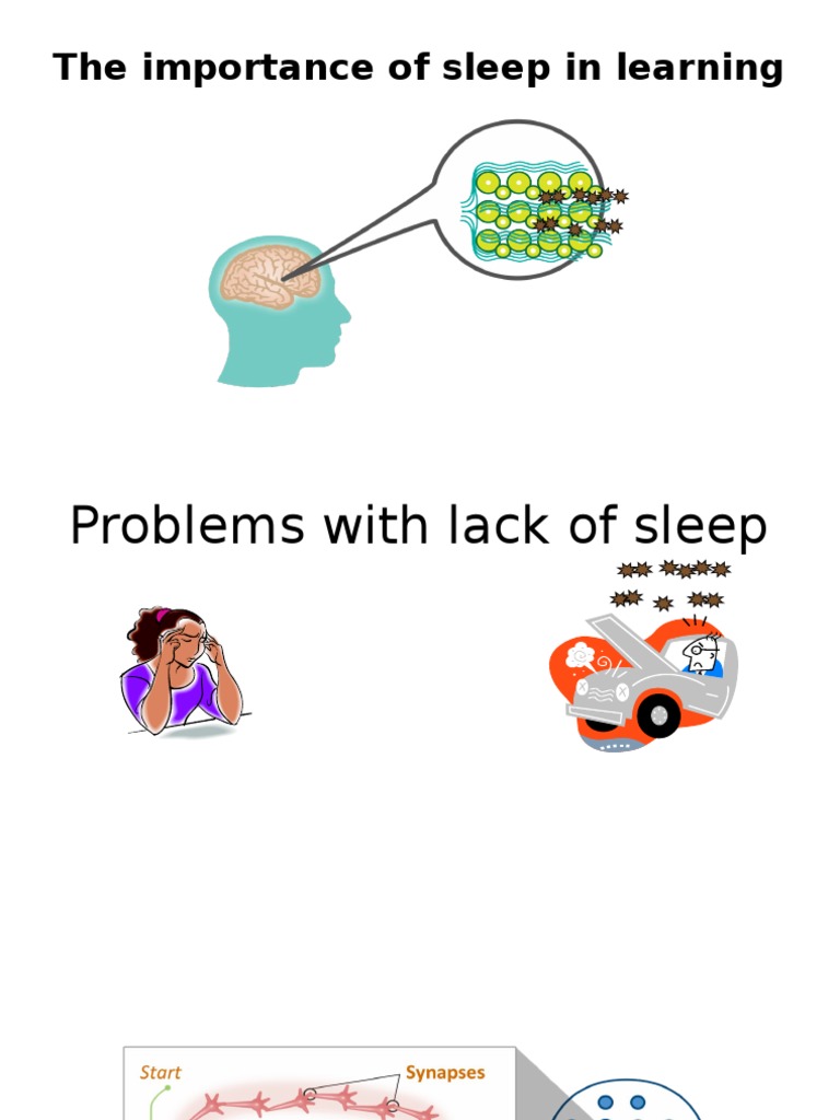 1-7 The Importance of Sleep in Learning | PDF