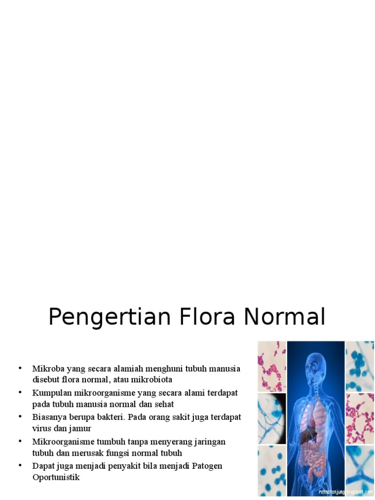 Flora Normal | PDF