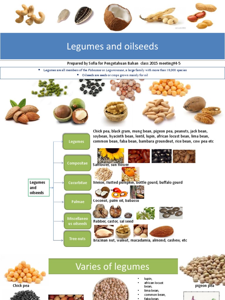 Overview of Legumes and Oilseeds | PDF | Soybean | Legume