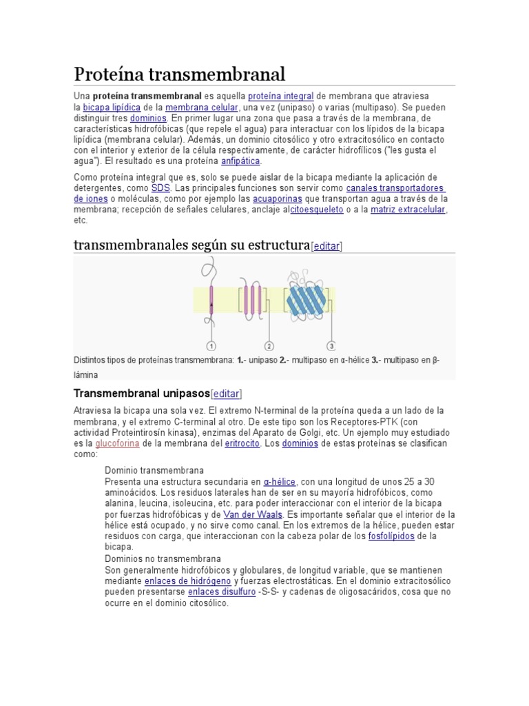 Proteína Transmembranal | PDF | Proteína Transmembrana | Membrana celular