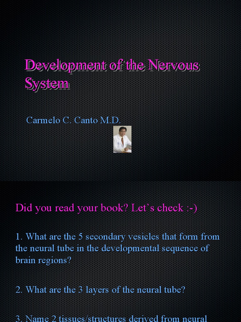 Nervous System Development Overview | PDF | Central Nervous System ...