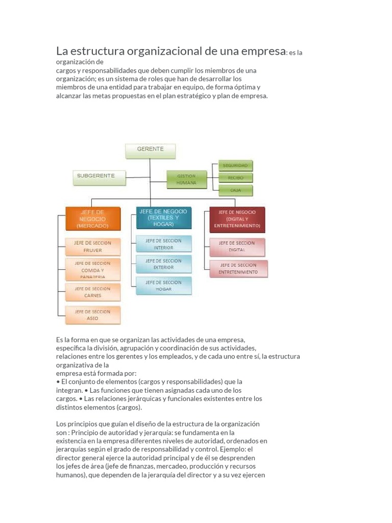 La Estructura Organizacional de Una Empresa | PDF | Planificación ...