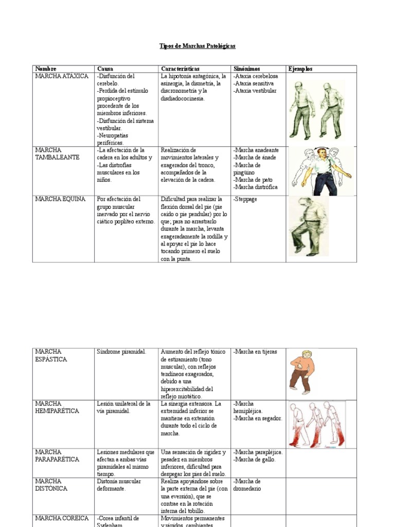 Marchas Patologicas | PDF | Pie | Anatomía humana