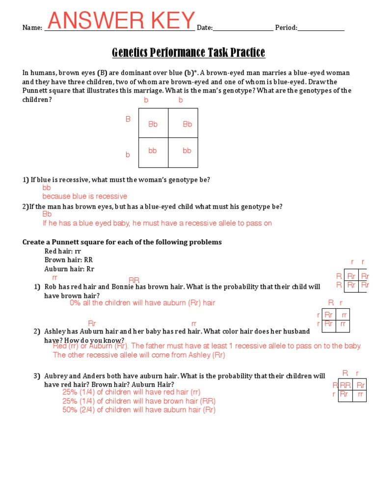 Answer Key: Genetics Performance Task Practice | PDF