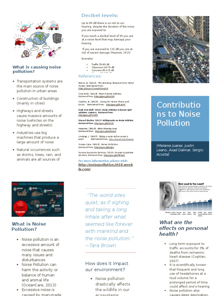 Noise Pollution Brochure | PDF | Environmental Health | Decibel